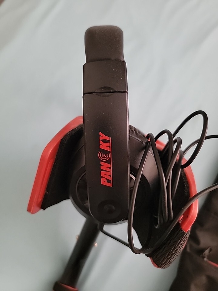 Panky metal detector | eBay