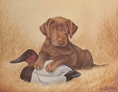 Carl Melichar S/N Puppy Chocolate Lab Puppy w/Canvasback Gunning Decoy ...