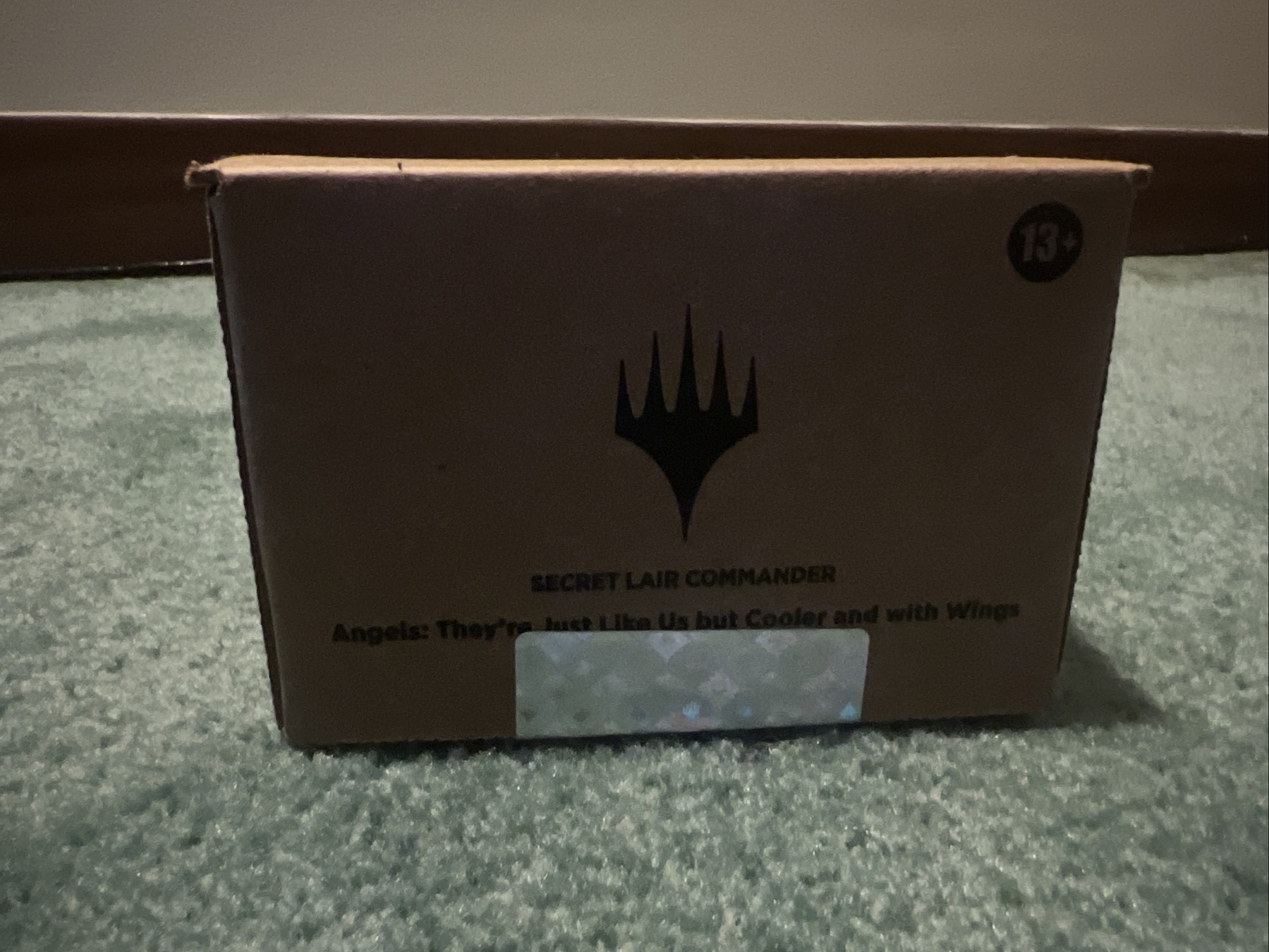 WOTC MTG SL Angels Theyre Just Like Us but Cooler and with Wings Deck ...