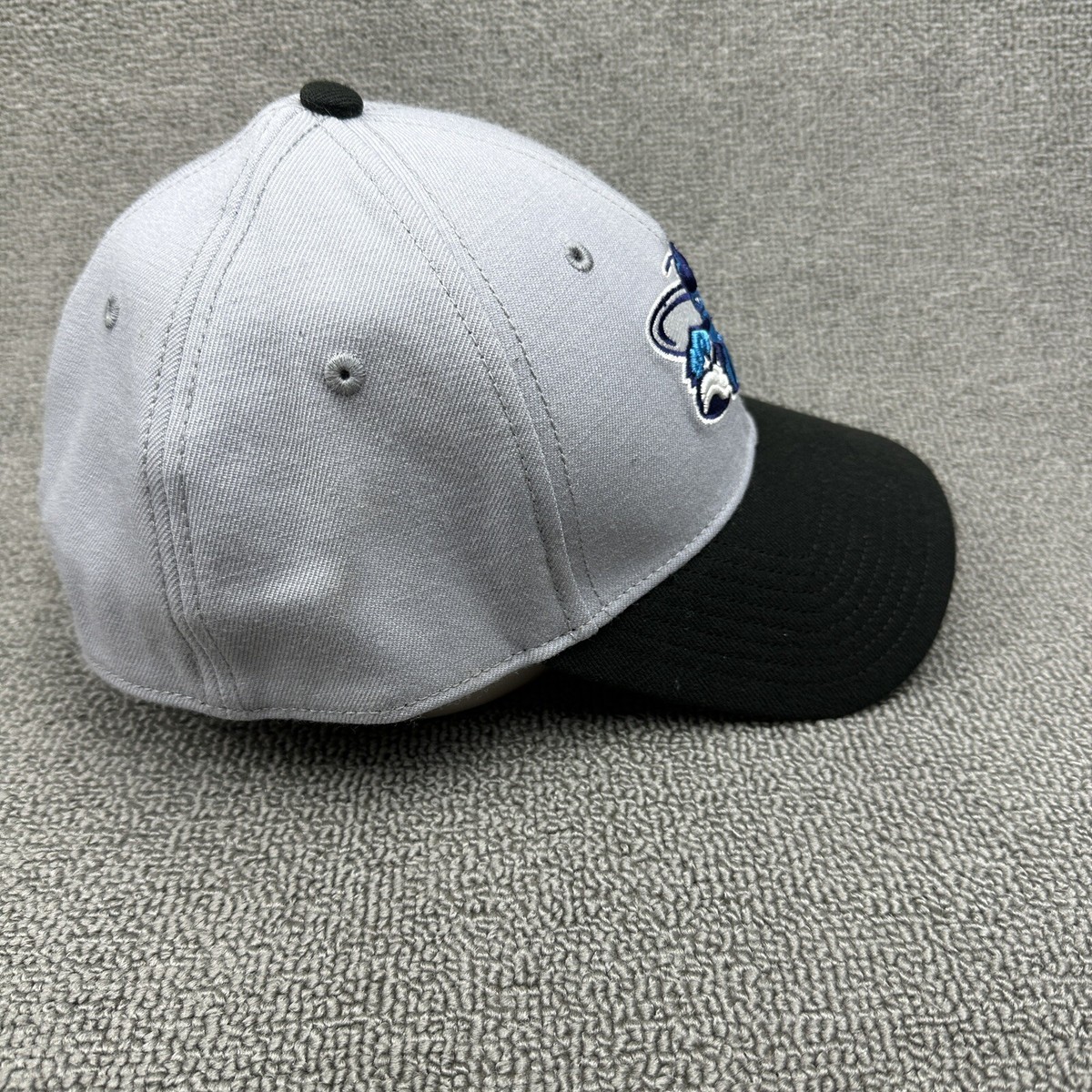 Charlotte Hornets Hat New Logo