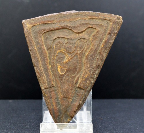 Tsesite 239 Gramm - Sahara, Algerie | eBay