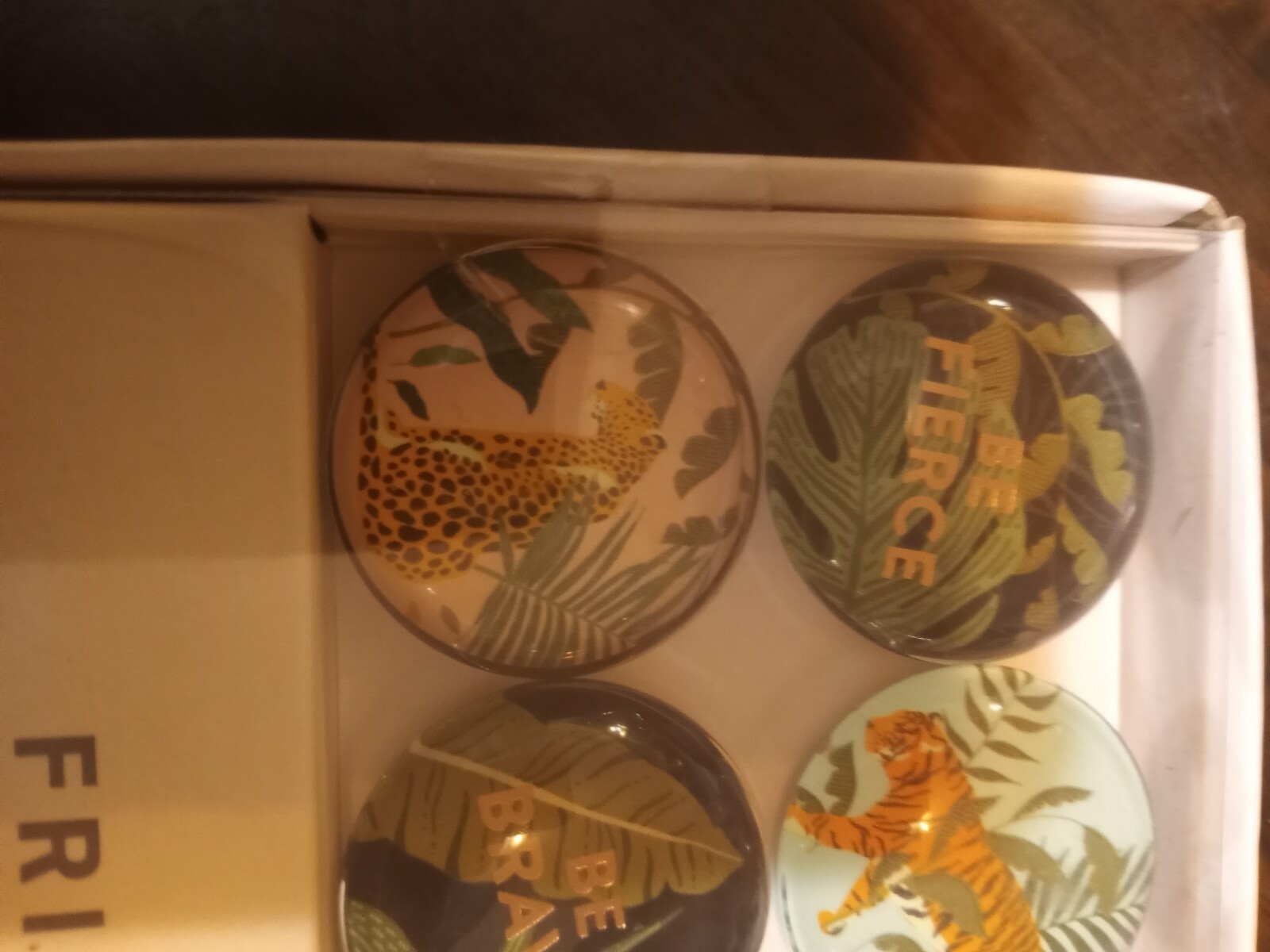 Fringe Glass magnets animal print Set Of 6 new in box | eBay