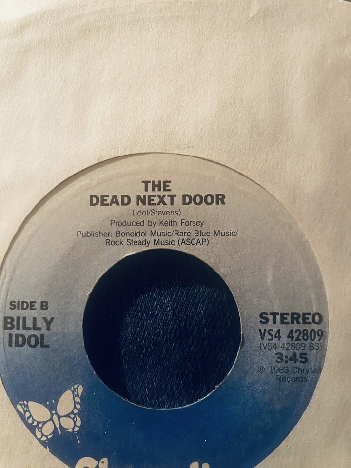 Billy Idol Flesh for Fantasy / Dead Next Door Record 45 RPM Vinyl | eBay