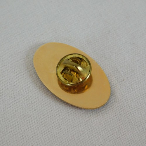 Northwest Region U-18 Girls Fastpitch Pin ASA Olympia Washington 1987 ...