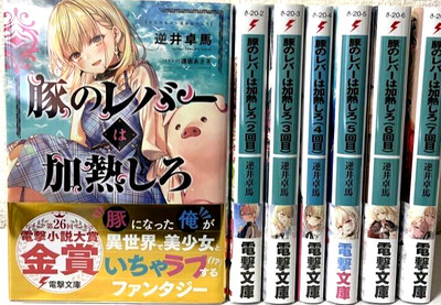 Butareba / Heat the Pig Liver Light Novel in Japanese Vol.1-9 Full Set ...