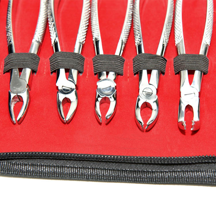 10pcs/set Dental Forceps for Adult Tooth Forceps Tools Dental ...