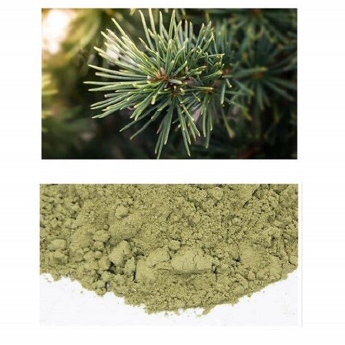 ORGANIC Pine Needle 10:1 extract powder 50 grams ships fast from Aust ...