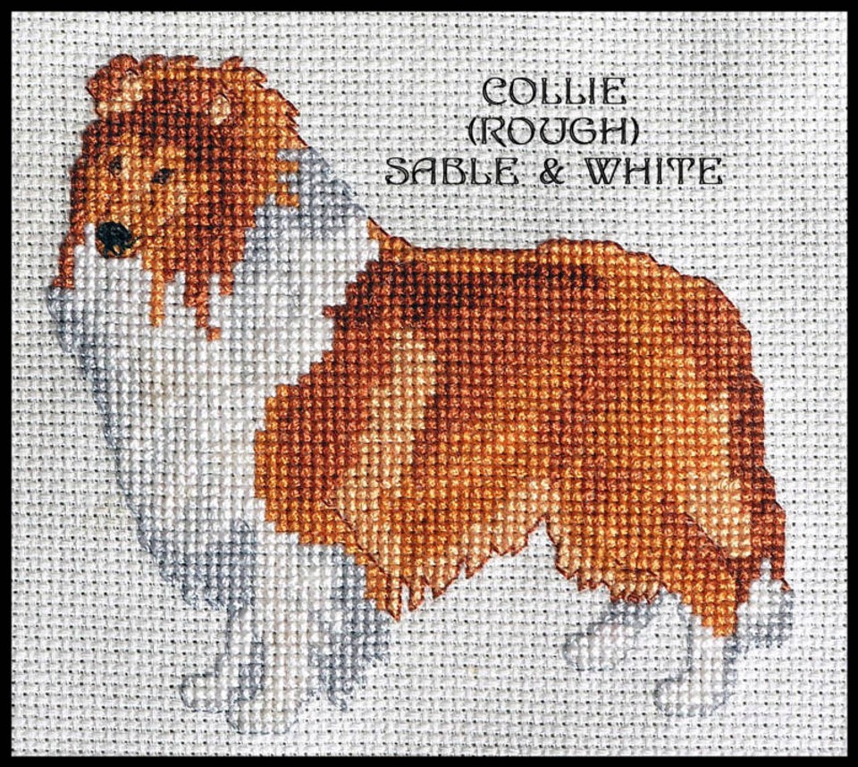 COLLIE, BEARDED & BORDER COUNTED CROSS STITCH PATTERNS | eBay
