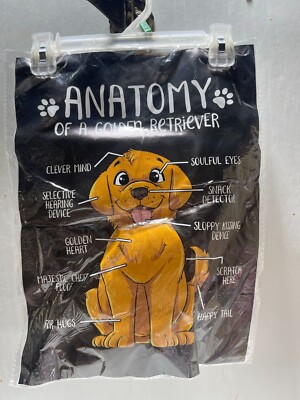 Anatomy Of A Golden Retriever Poster Unframed 15-5/8" Tall X 11-7/5 ...