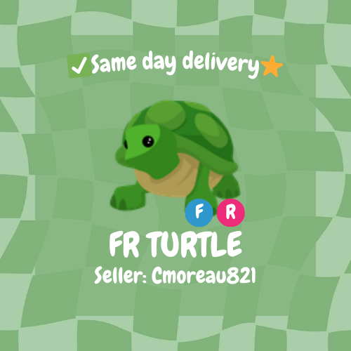 🐢 FR Turtle | Same day delivery | Adopt your pet from me Today! ⭐📅 | eBay