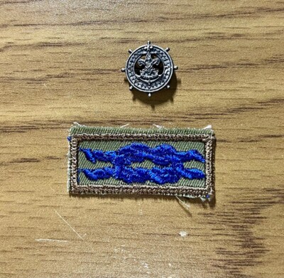 Boy Scout Quartermaster Award Knot and Silver Lapel Pin | eBay