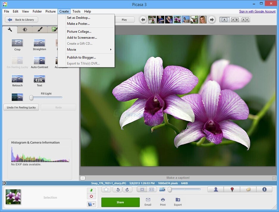Picasa Photo Editor Free