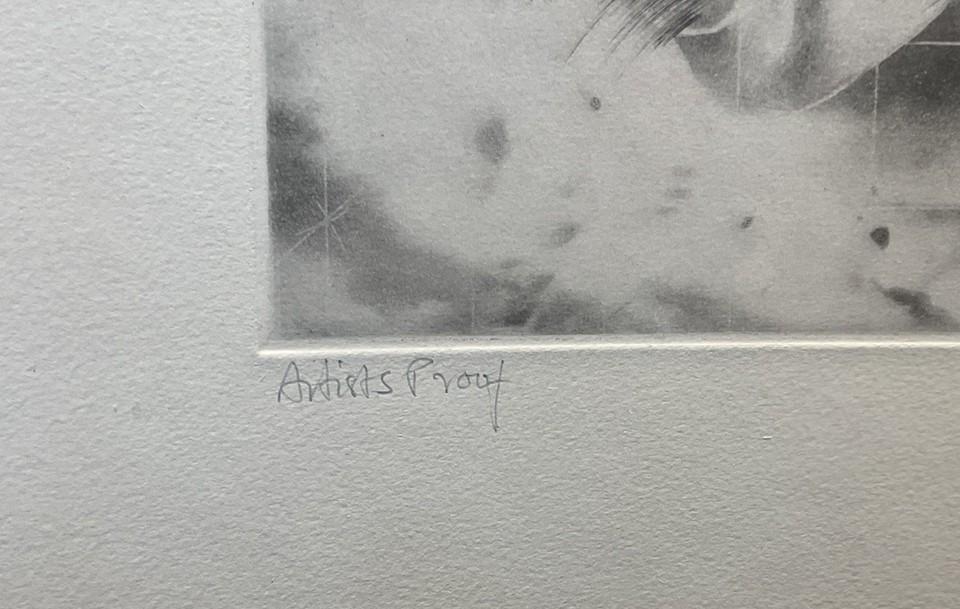 Unframed Signed Artists Proof Of Anatomy Of A Scream By Terry Wilson ...