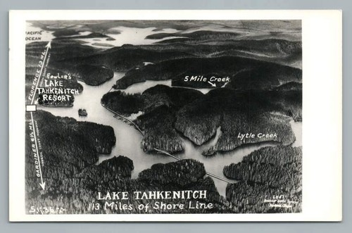 Lake Tahkenitch Resort RPPC Douglas County OR Reedsport Oregon Aerial ...