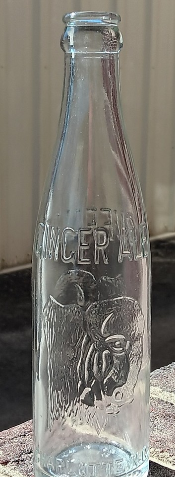 FOWLERS BUFFALO GINGER ALE CHARLOTTE NC Soda bottle | eBay