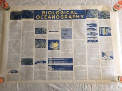 Charts - Vintage 1965 Nautical Charts
