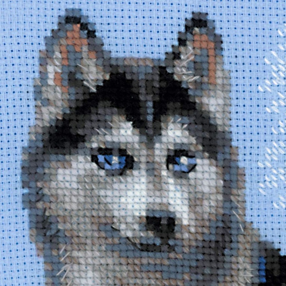 Cross-stitch kit Dog Husky 1626 Riolis | eBay UK