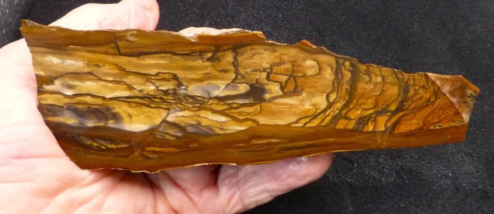 ORCA: Well Patterned Biggs Picture Jasper Faced Rough, Oregon | eBay