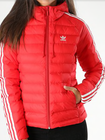 adidas Originals ADICOLOR Slim Jacket Padded 3-Stripes Hooded Scarlet ...
