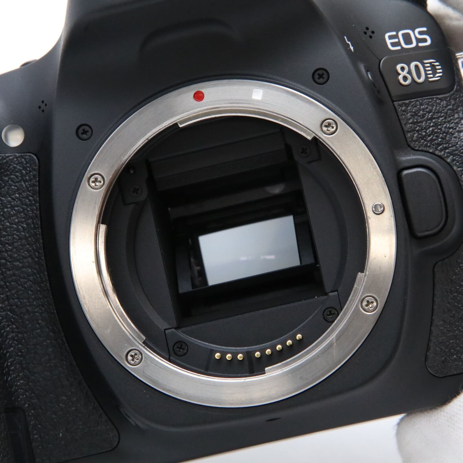 Canon EOS 80D 24.2 MP Digital SLR Camera with Accessory Bundle - Black ...