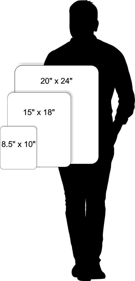 NOTICE No Sunflower Seeds METAL Aluminum composite outdoor sign | eBay