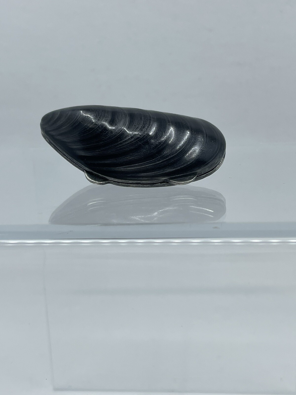 Tiffany & Co Rare Sterling Silver 925 Mussel Shell Pill Box -28g | eBay