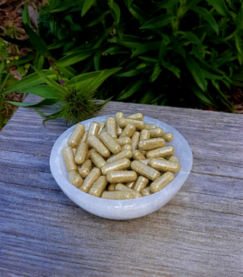 Wormwood Capsules, 500mg, Immune, Digestive, Parasite, Detox, 50-100 ...