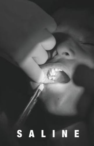 Saline by Connor Brunson (2015, Trade Paperback) for sale online | eBay