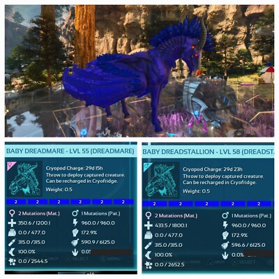 ARK ASCENDED PVE OFFICIAL PAIR BABY DREADMARE/DREADTALLION BLUE ID02 PC ...