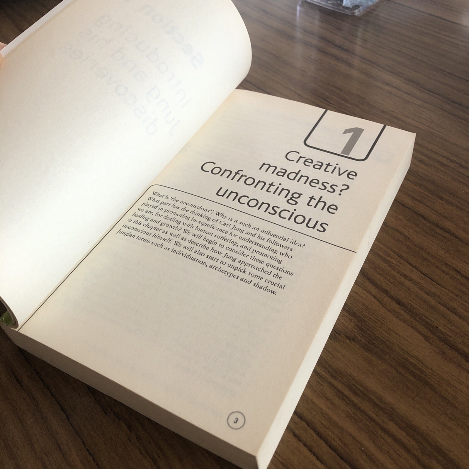 Jung: A Complete Introduction: Teach Yourself by Phil Goss ...