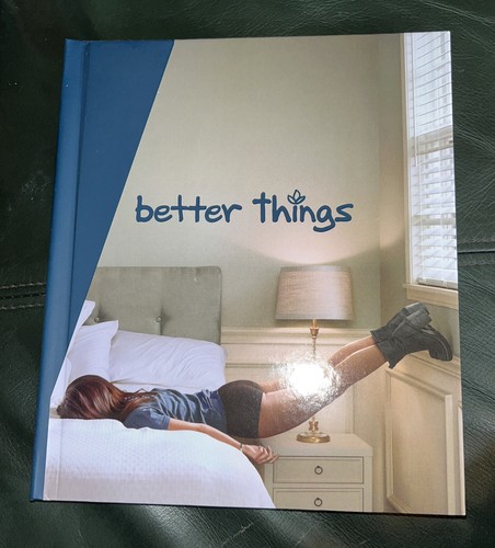 BETTER THINGS Season 1 FYC DVD Award Screener Promo Pamela Adlon 2017 ...