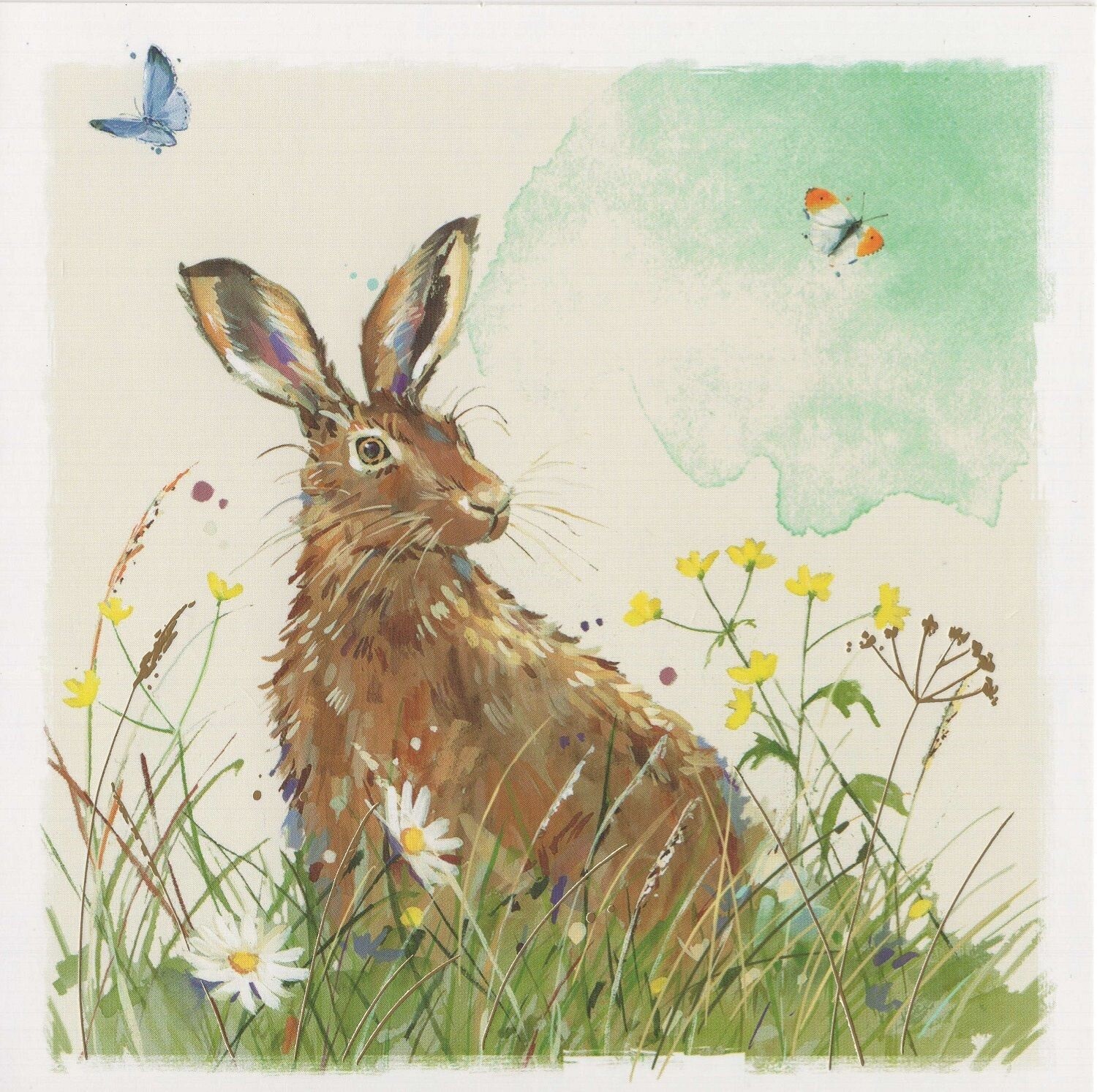 The Wildlife Pack Of 10 Hare & Hedgehog Notecards Blank Greeting Card ...