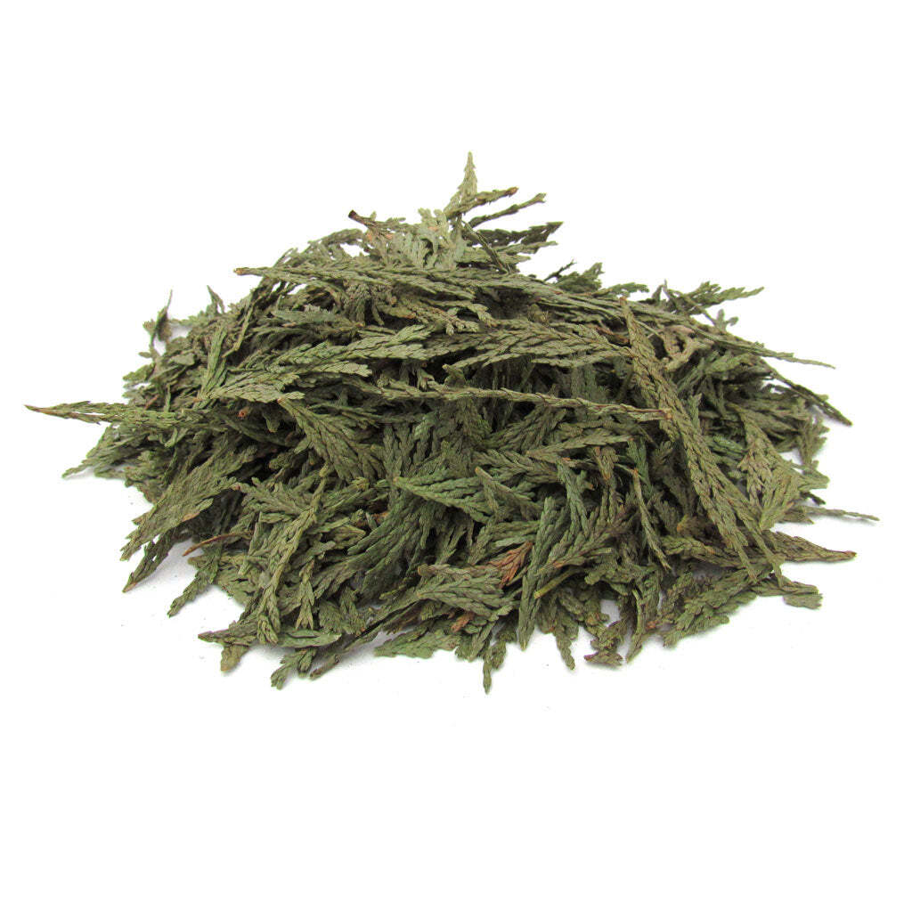 Cedar Tips (1 oz) Ritual Herb Package Dried Cut and Sifted | eBay