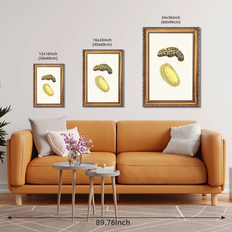 Sea Slug and Shell Wall Art Canvas Oil Paintings Reproduction | eBay