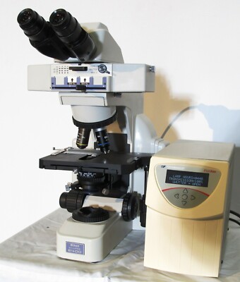 Nikon Eclipse E400 Y-FL Fluorescence Microscope with Flurolux Illuminator | eBay