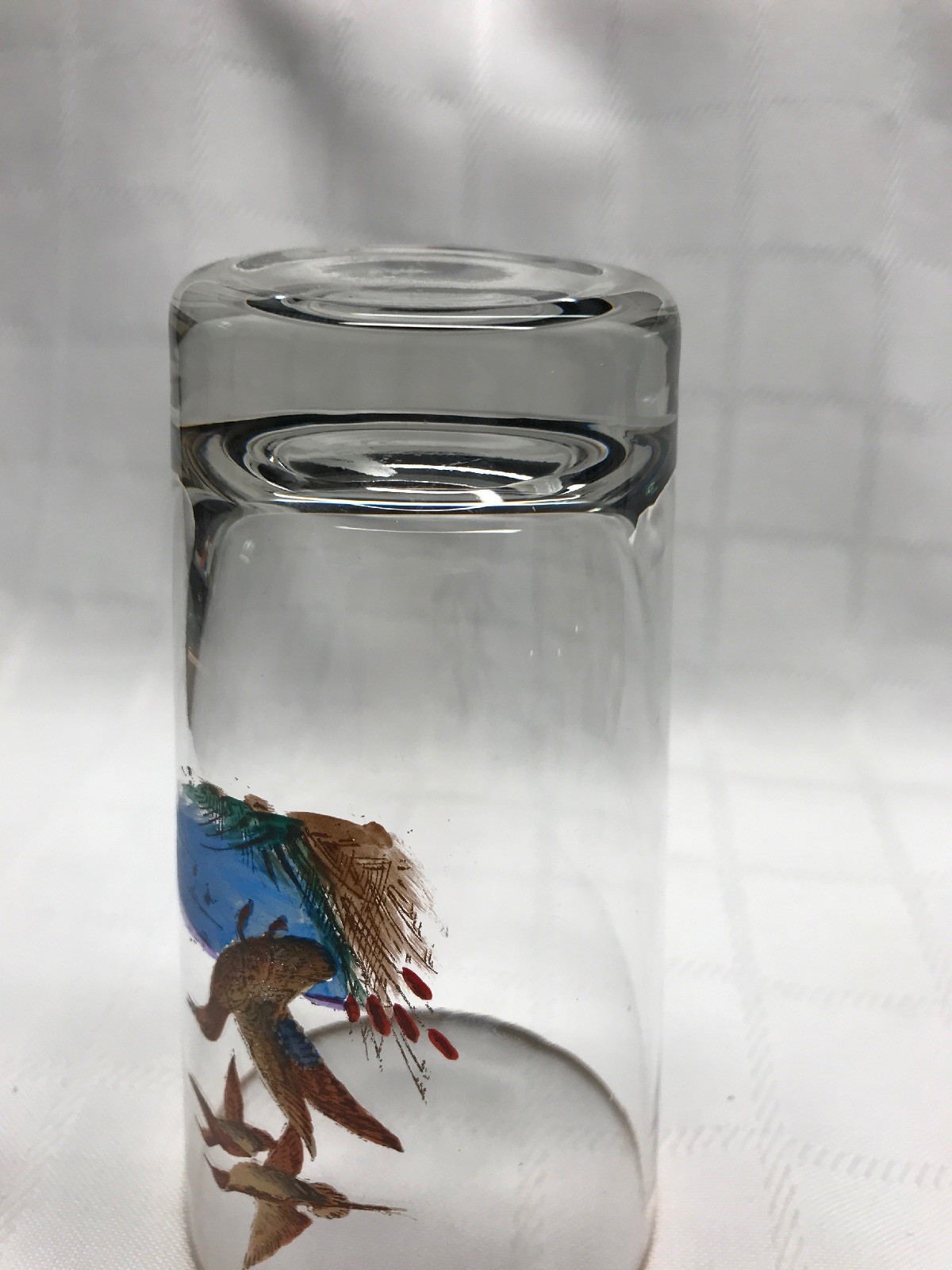 Duck Tumblers Set of 4 Glasses 4 Different Pics 16 oz Weighted Bottom ...