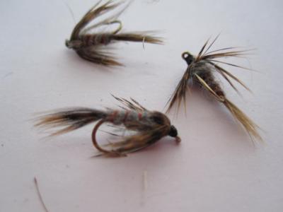 Flies - Quill Gordon