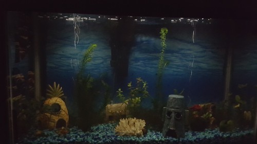 Fluval Digital LED Dual 2 Channel Lamp Timer A3977 for sale online | eBay