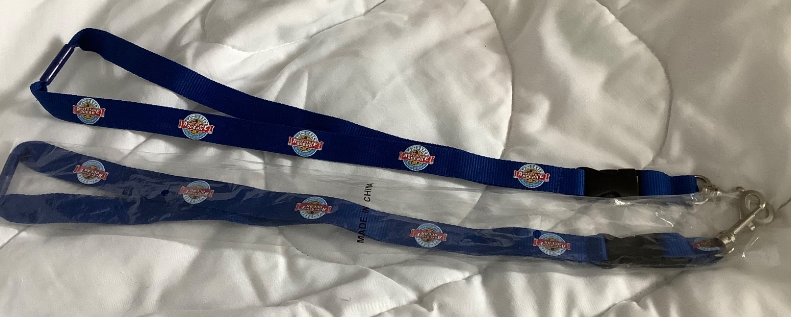 Royal Caribbean Cruise Line Adventure Ocean Logo Lanyard Key Chain Lot ...