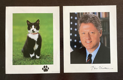 8x10 Glossy Color Prints 1993 President Bill Clinton and Socks the Cat ...