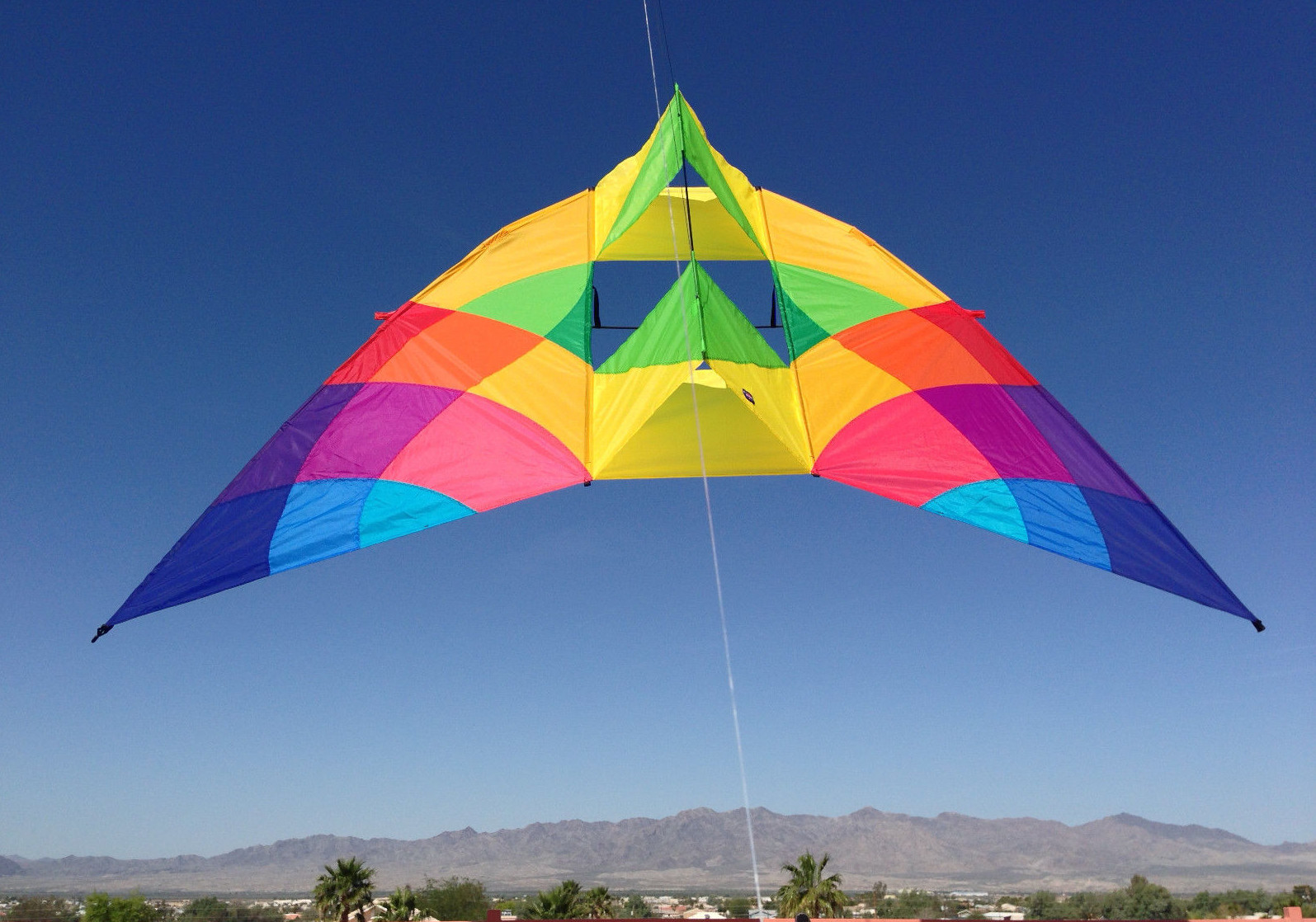 Delta Kite Alpine Conyne 120x51" RipStop Nylon +Carbon Spars +Reel ...