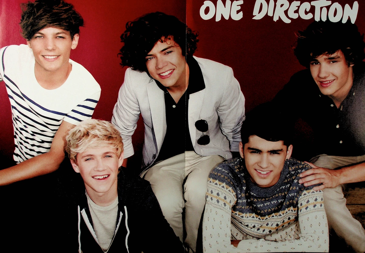 One Direction Signed Poster