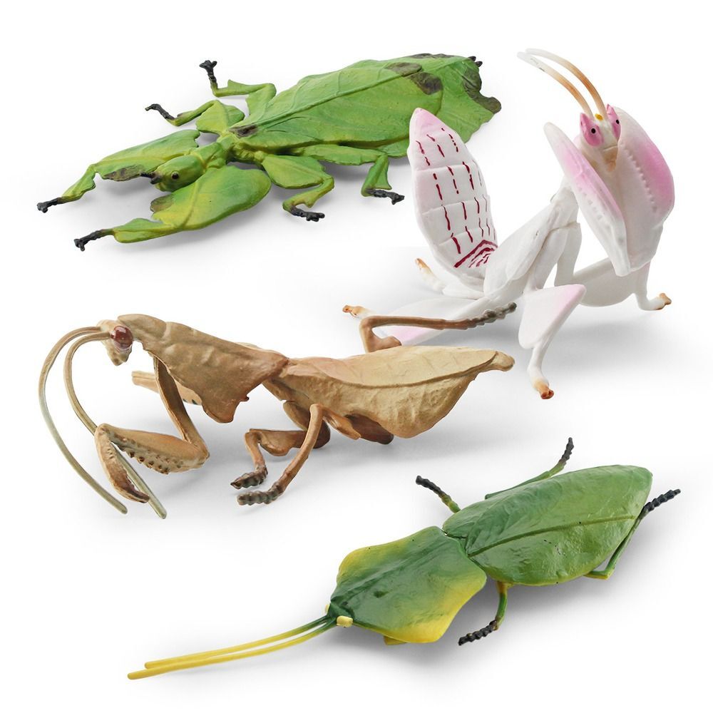 Educational Simulated Insect Ornaments Praying Mantis Models Teaching ...