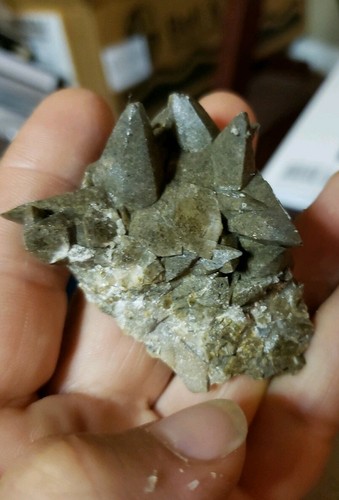 Chocolate Dogtooth Raven Wing Calcite Cluster Santa Eulalia Chihuahua ...