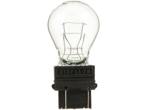 For 1988-2004, 2015-2020 Ford F150 Turn Signal Light Bulb Philips ...