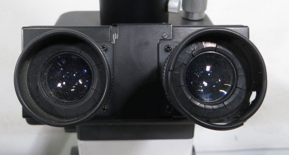 T199185 Leitz Labovert Trinocular Inverted Microscope w/ Periplan 10X ...