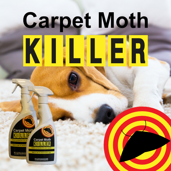 1 Litre MOTH KILLER CONTROL SPRAY PROOFER MOTH BALLS CLOTHES CARPET ...