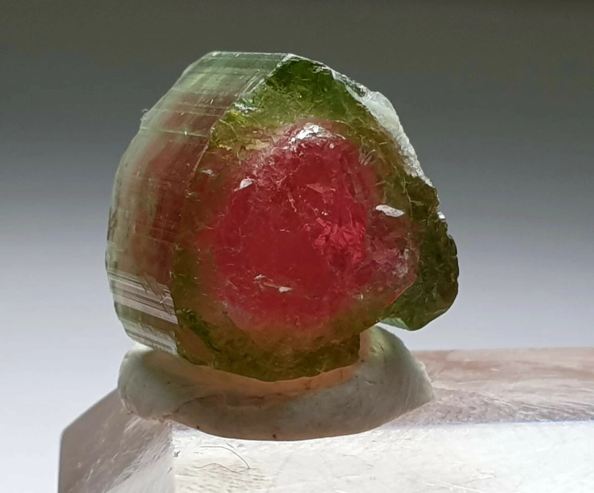 Watermelon Tourmaline Rough