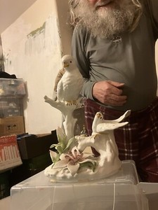 downsizing sales | eBay Stores