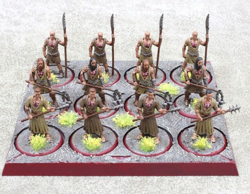 Lannister POOR FELLOWS x12 Well Painted ASOIAF Dark Sword 24357 | eBay
